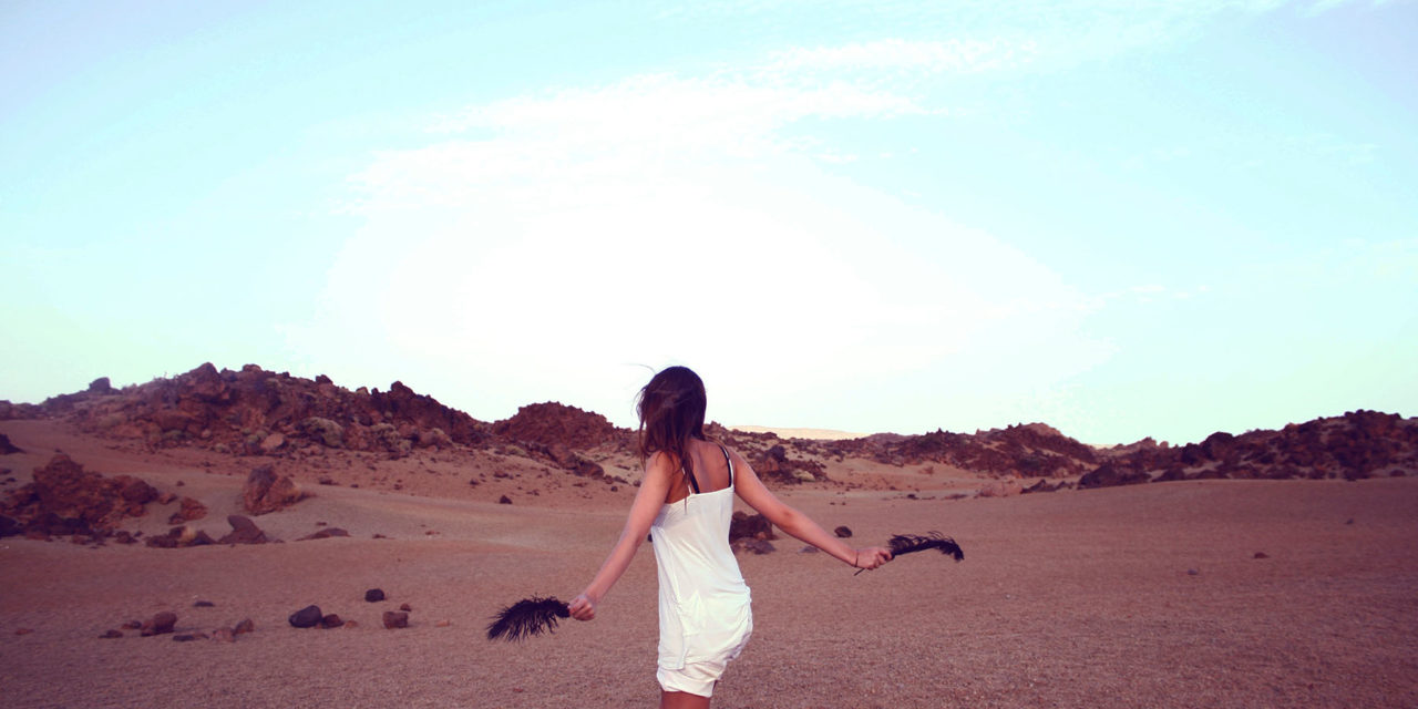 Nemore oporteat ne vis – StudioIart